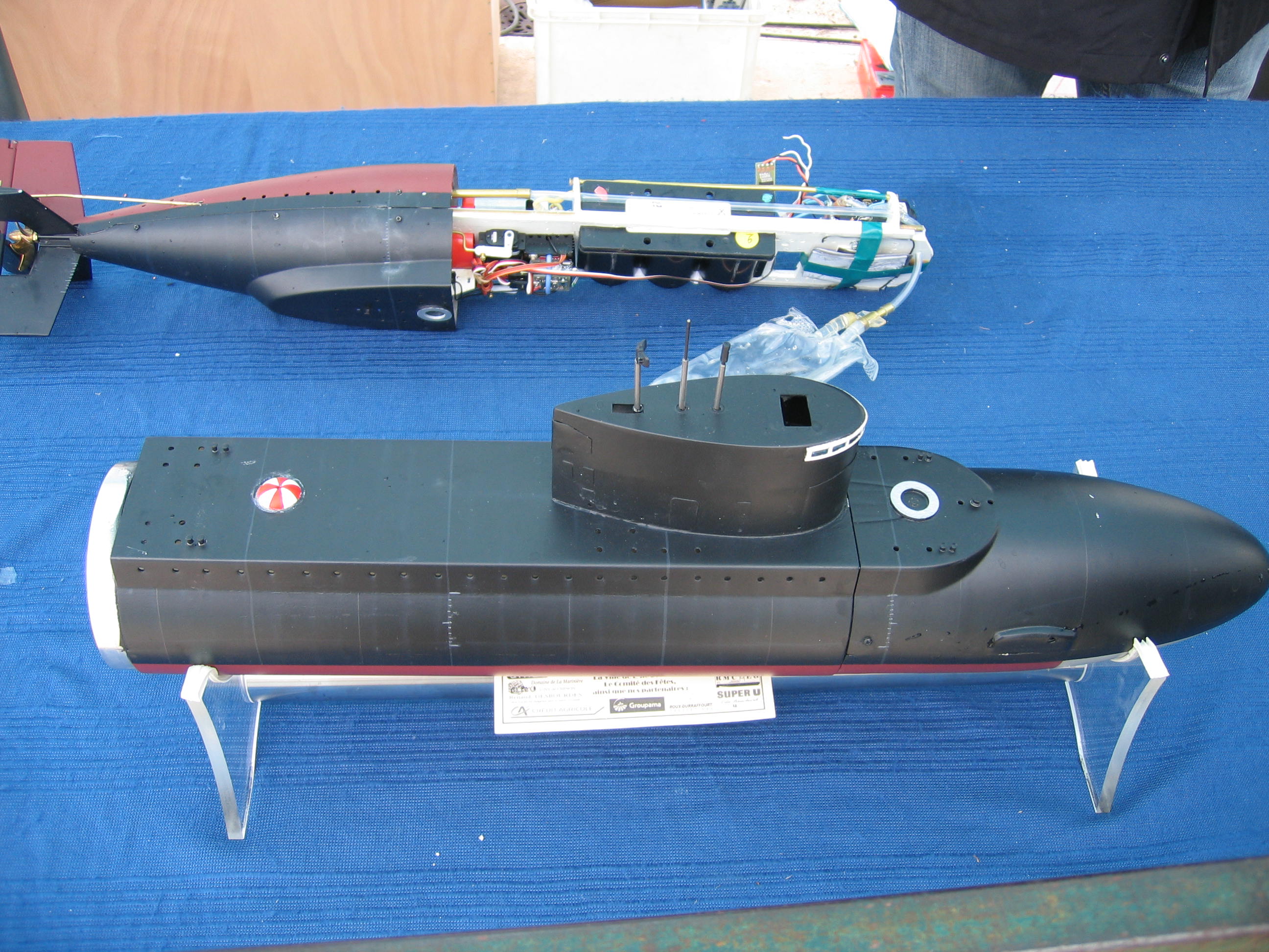 Photo IB2008 013 de l'album Seawolf Robbe