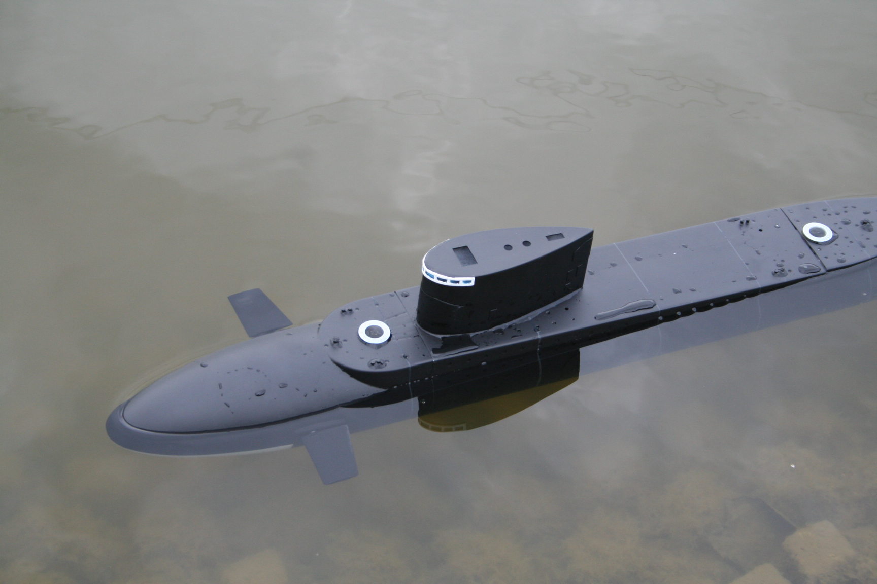 Photo IMG_2683 de l'album Seawolf Robbe